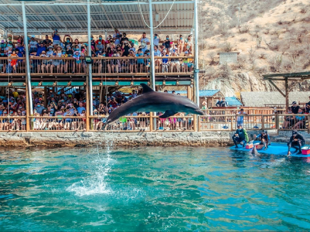 Aquarium + Pass Playa Blanca - Santa Marta